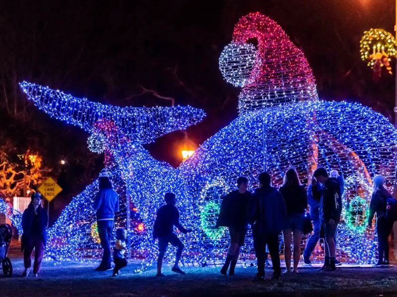 Explore Exciting Winter Activities for a Fun-Filled Season